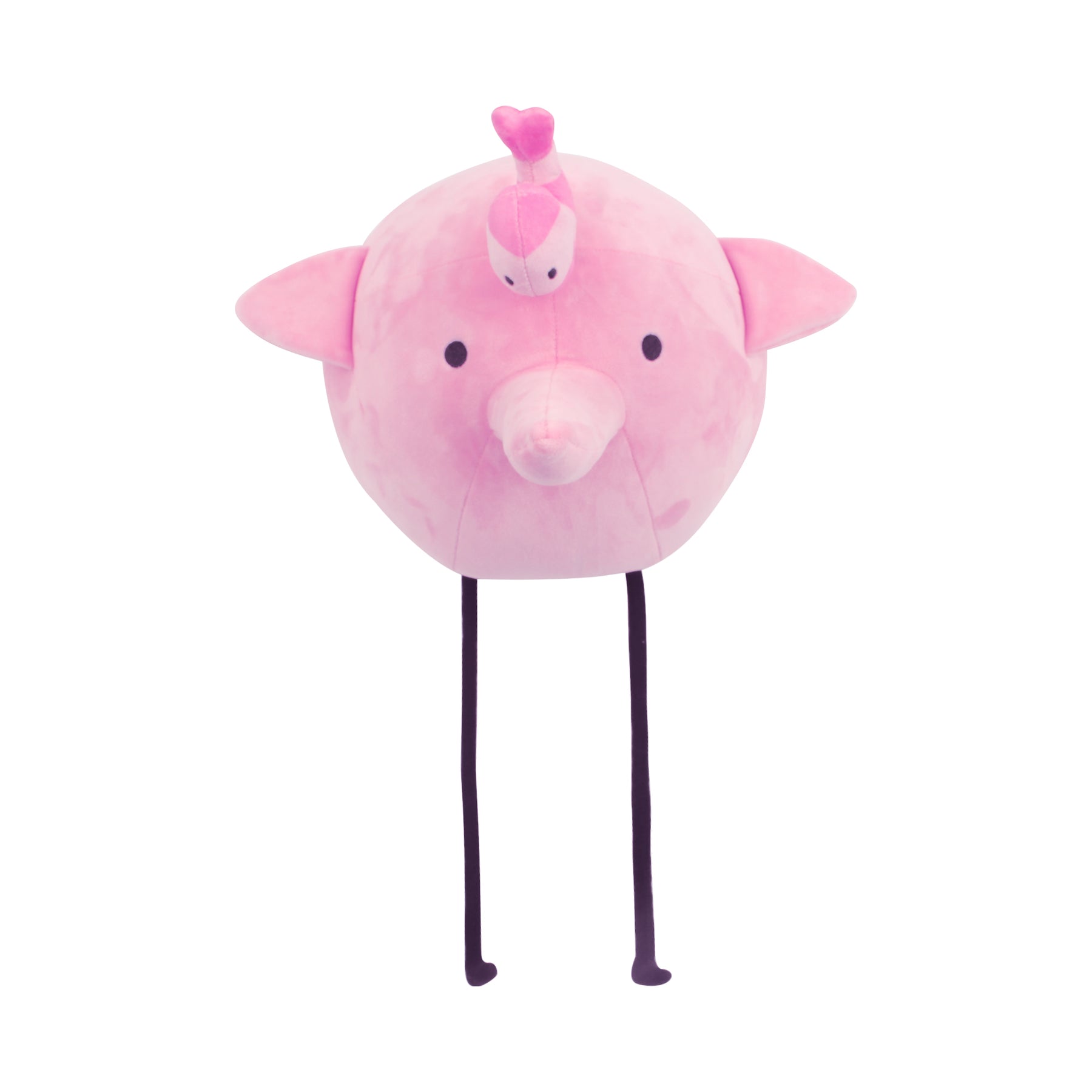 Catalog – berd store